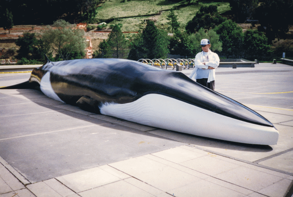 Life-Size Sculptures – Larry Foster – Whales Only Press